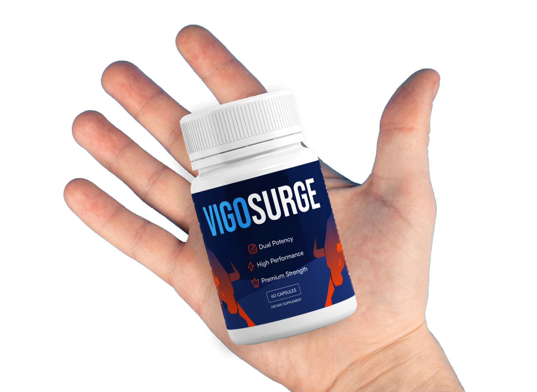 VigoSurge - Presentation